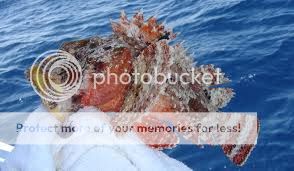 Greece´s Guide to Epicurism - The Foods of the World Forum